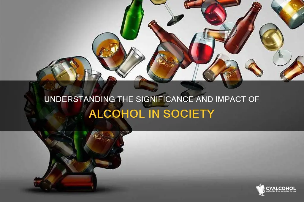 Understanding The Significance And Impact Of Alcohol In Society | CyAlcohol