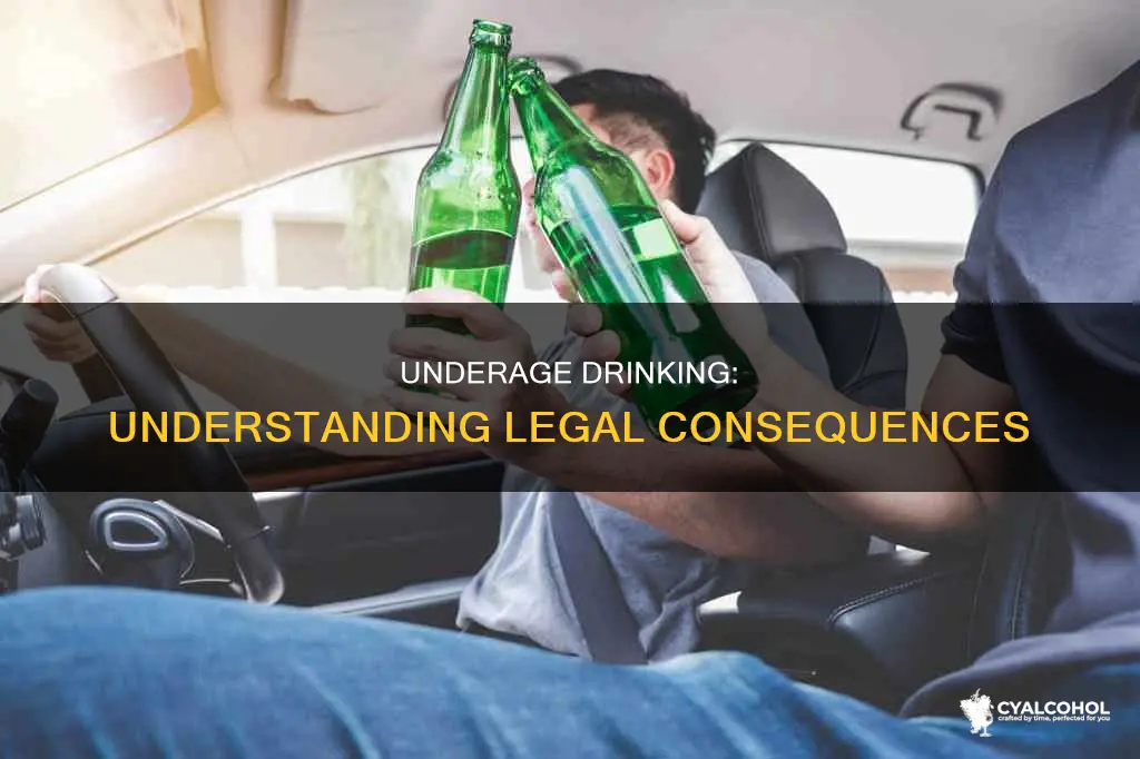 Underage Drinking: Understanding Legal Consequences | CyAlcohol