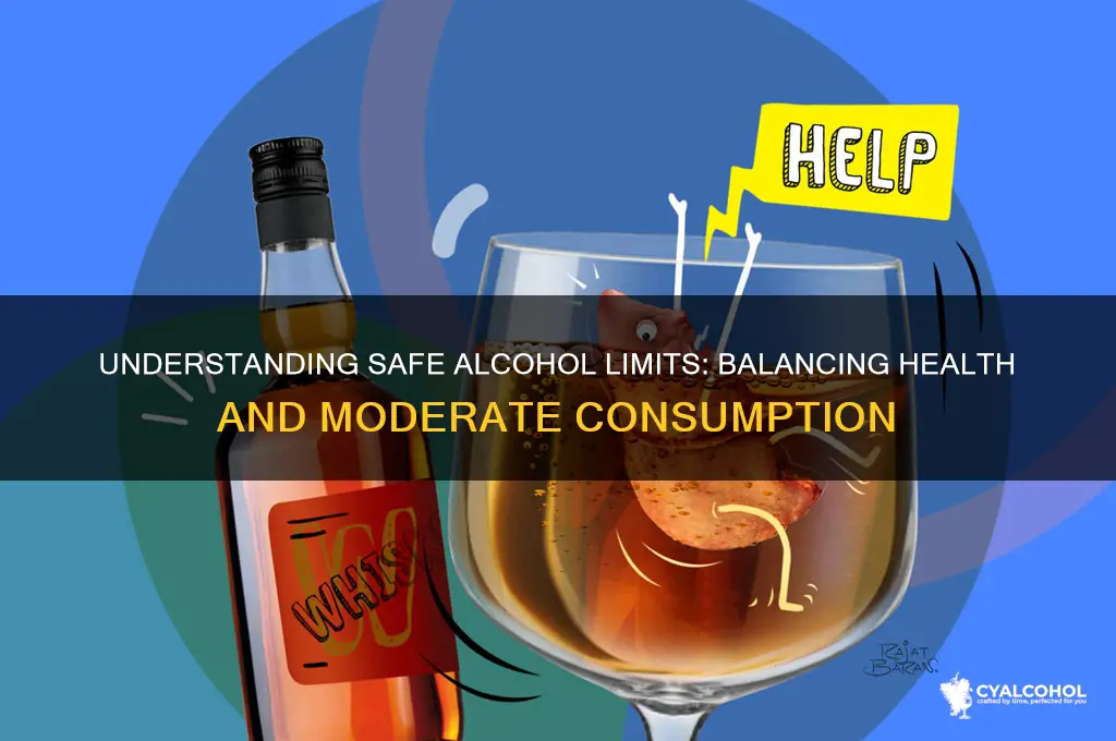 Understanding Safe Alcohol Limits: Balancing Health And Moderate ...