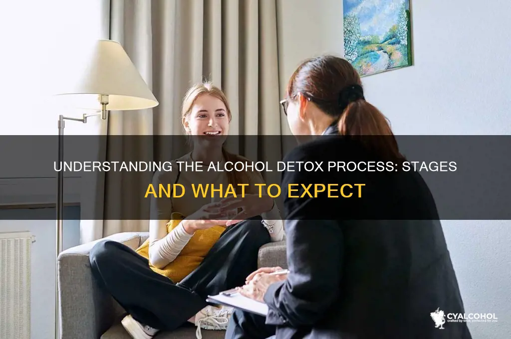 Understanding The Alcohol Detox Process: Stages And What To Expect ...
