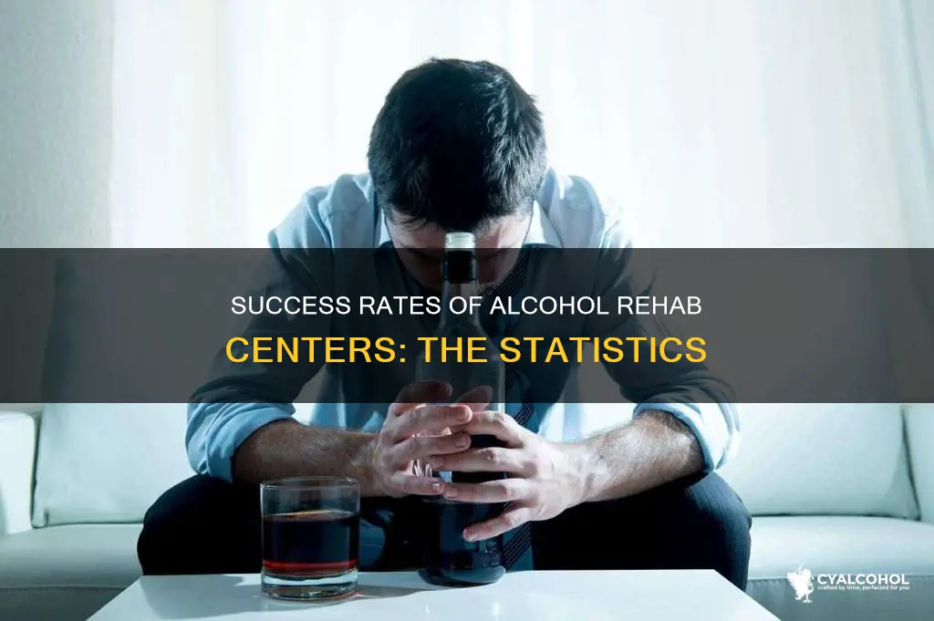 Success Rates Of Alcohol Rehab Centers: The Statistics | CyAlcohol