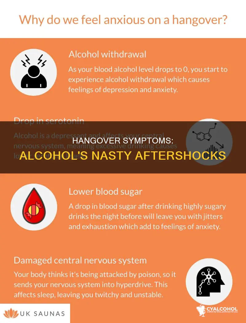 Hangover Symptoms: Alcohol's Nasty Aftershocks | CyAlcohol