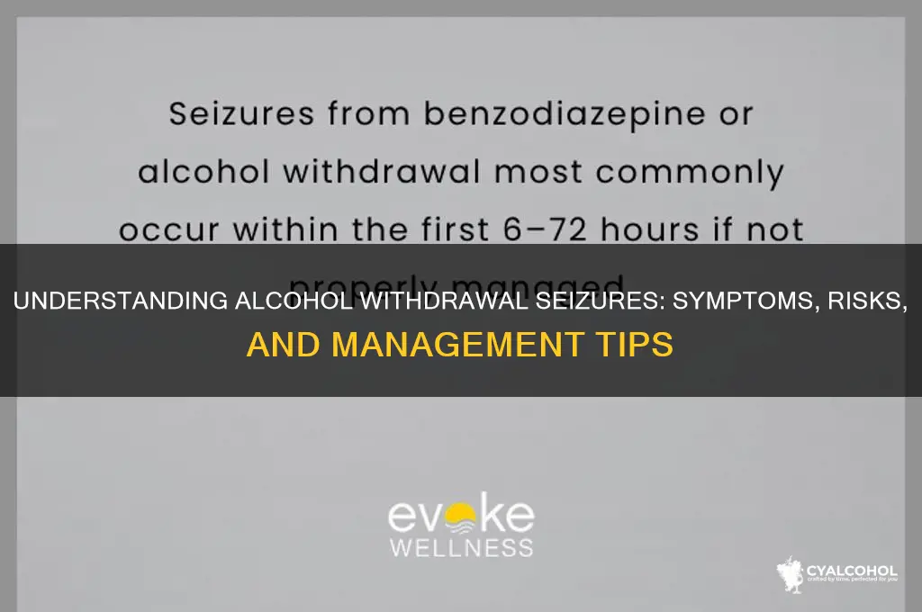 Understanding Alcohol Withdrawal Seizures: Symptoms, Risks, And ...