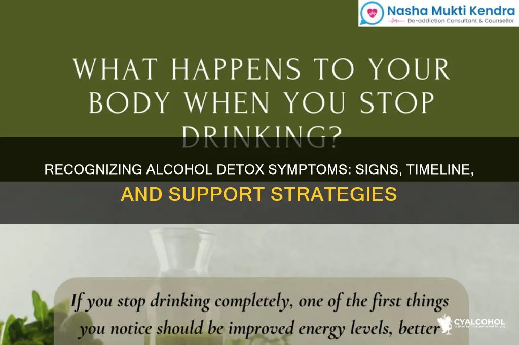 Recognizing Alcohol Detox Symptoms: Signs, Timeline, And Support ...