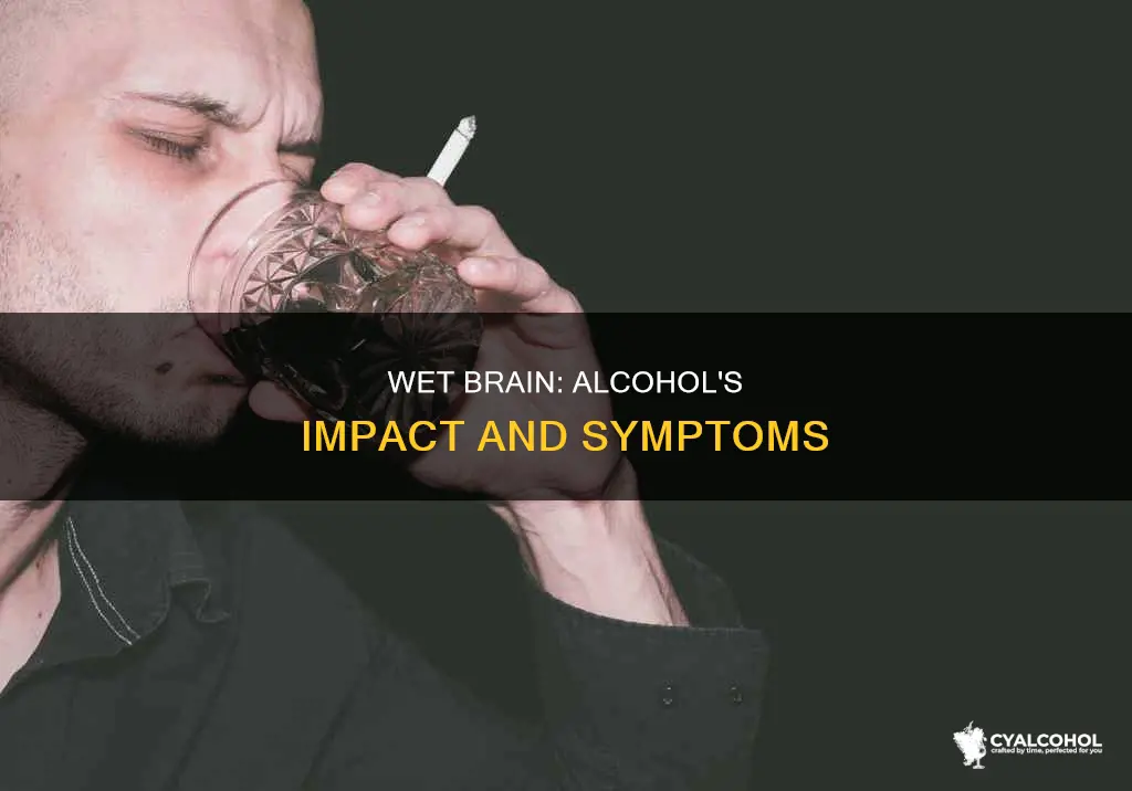 Wet Brain: Alcohol's Impact And Symptoms | CyAlcohol