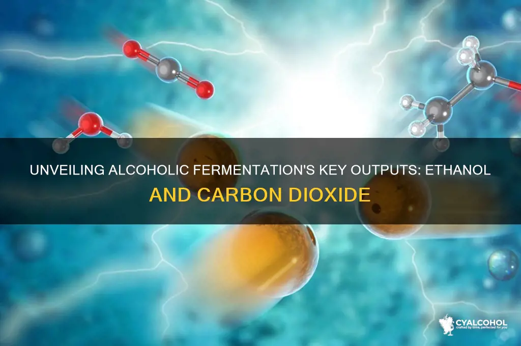 Unveiling Alcoholic Fermentation's Key Outputs: Ethanol And Carbon ...