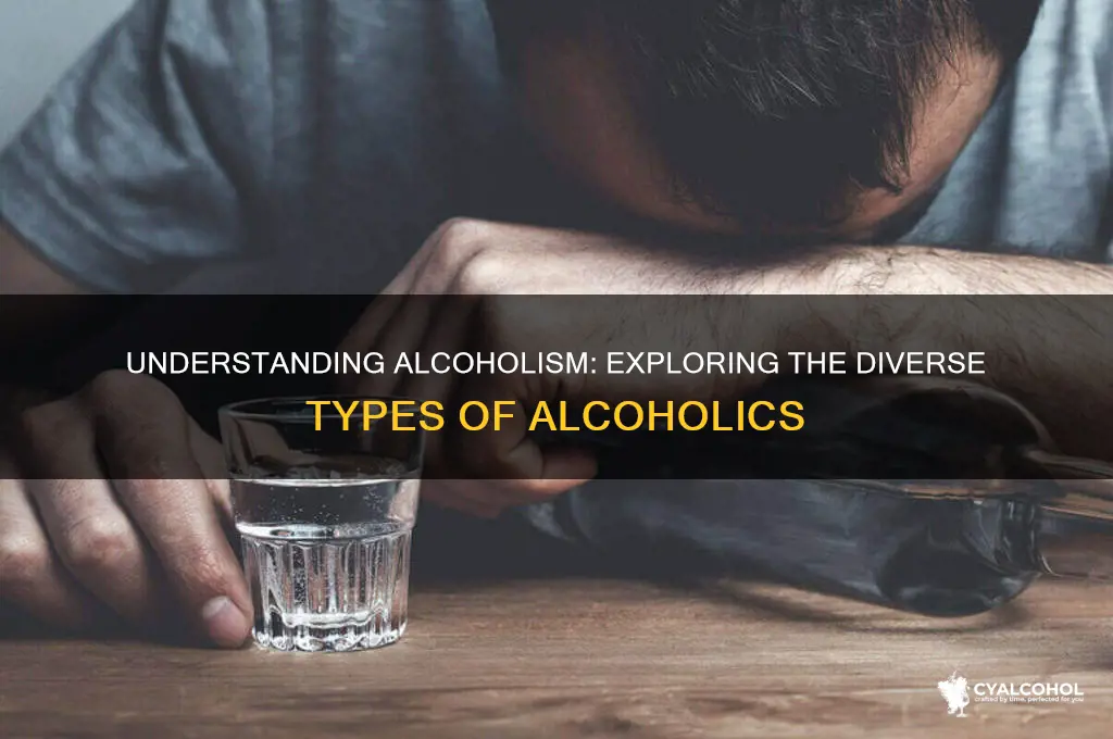 Understanding Alcoholism: Exploring The Diverse Types Of Alcoholics ...