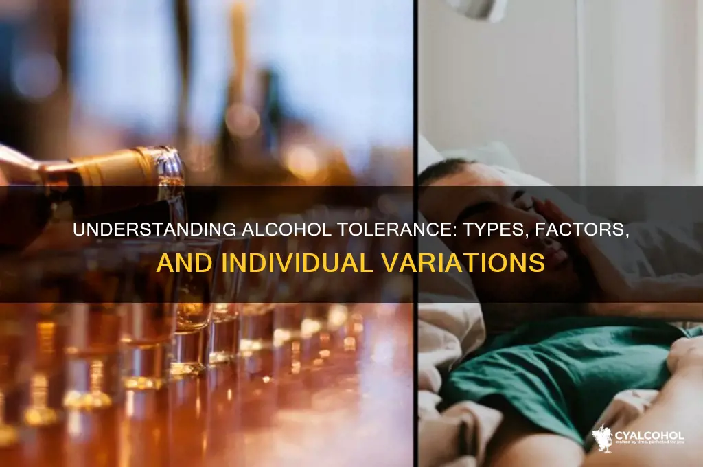 Understanding Alcohol Tolerance: Types, Factors, And Individual ...