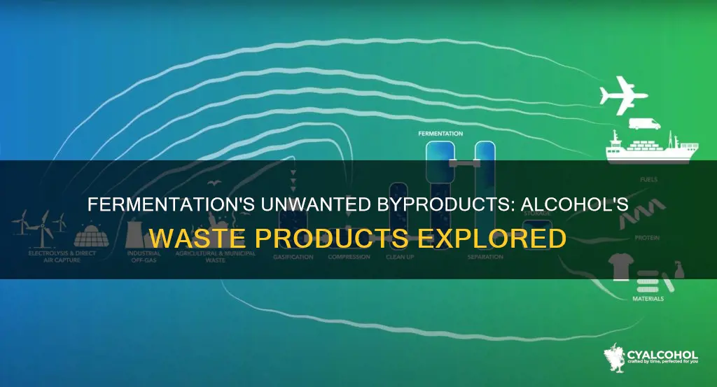Fermentation's Unwanted Byproducts: Alcohol's Waste Products Explored ...