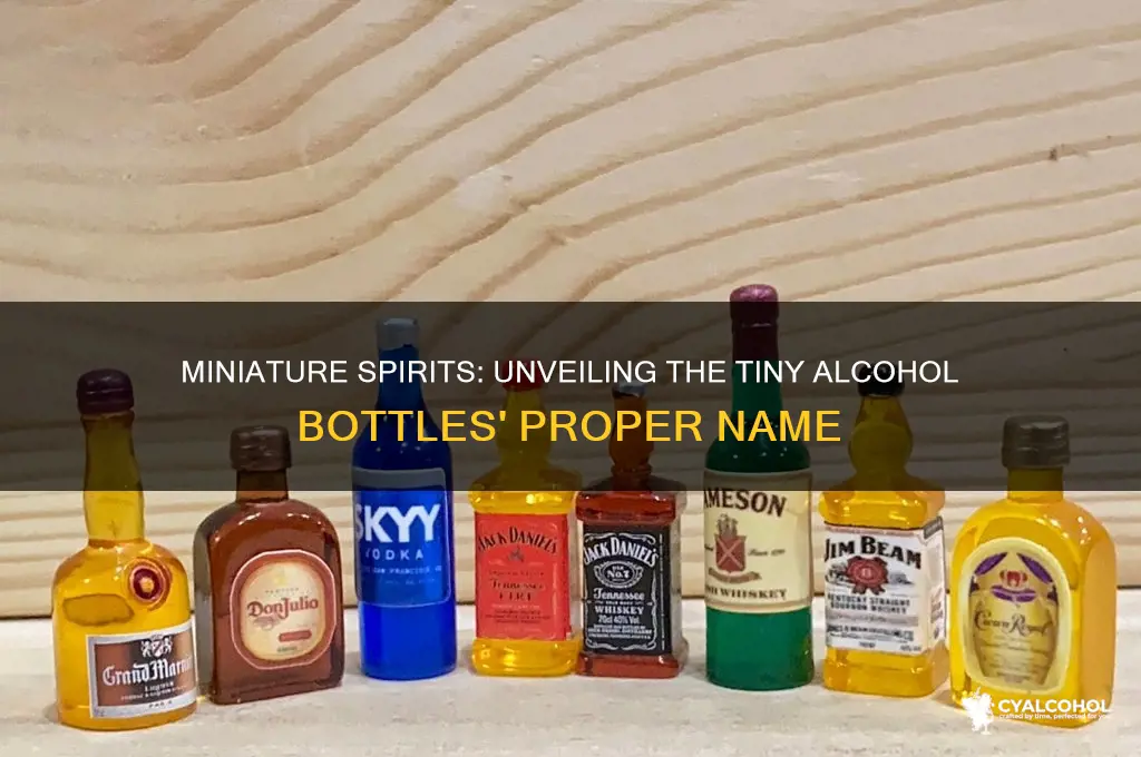 Miniature Spirits: Unveiling The Tiny Alcohol Bottles' Proper Name ...