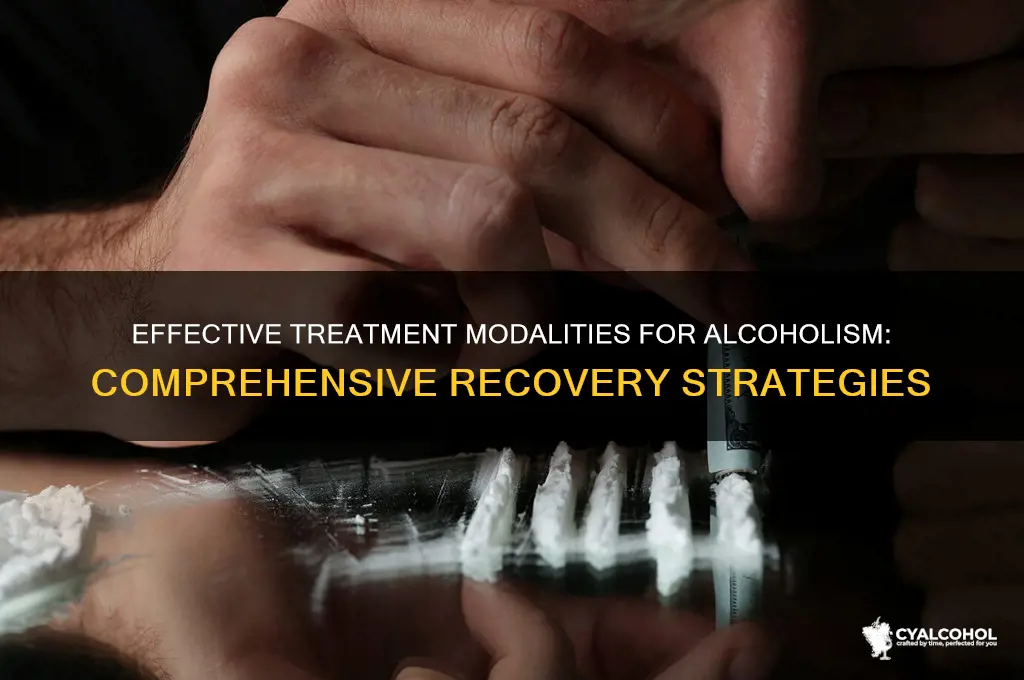 Effective Treatment Modalities For Alcoholism: Comprehensive Recovery ...