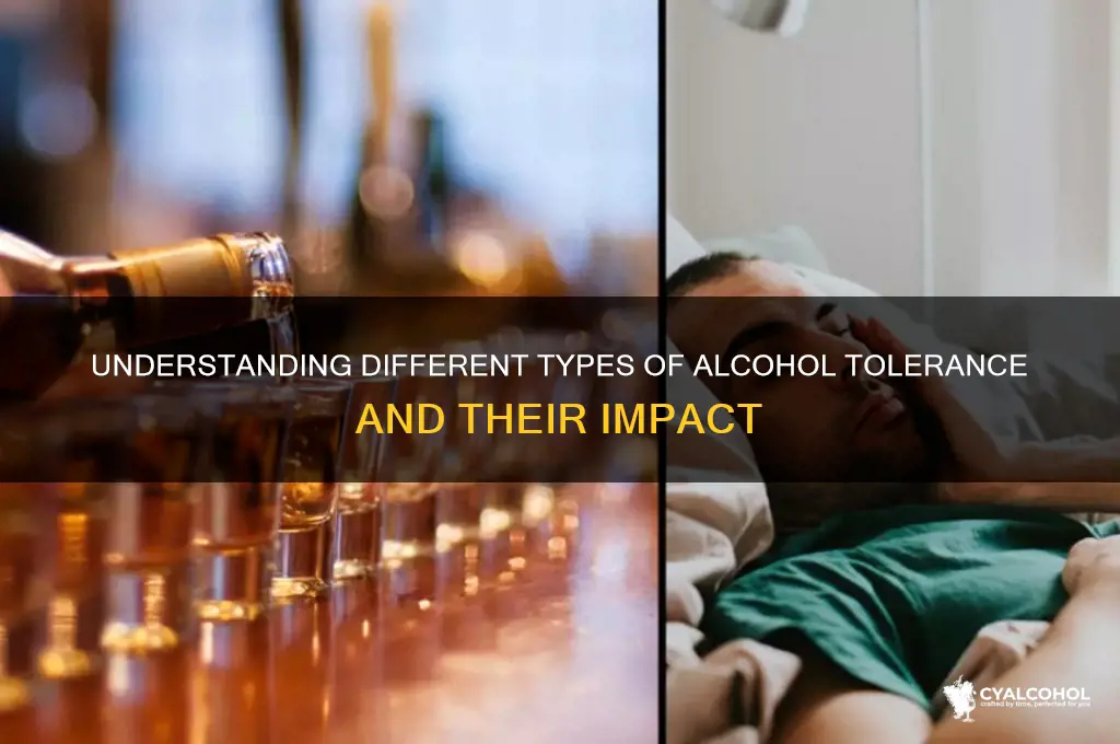 Understanding Different Types Of Alcohol Tolerance And Their Impact ...