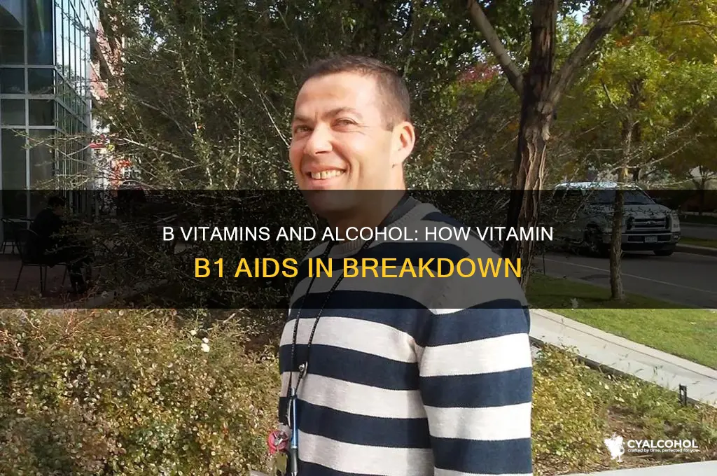B Vitamins And Alcohol: How Vitamin B1 Aids In Breakdown | CyAlcohol