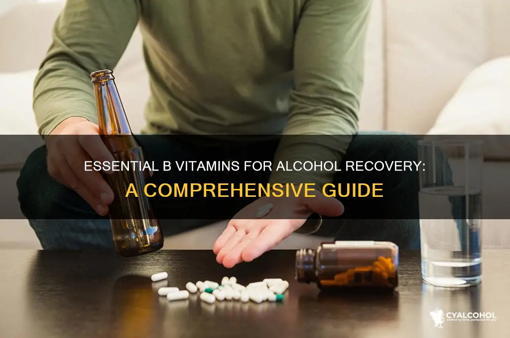 Essential B Vitamins For Alcohol Recovery: A Comprehensive Guide ...