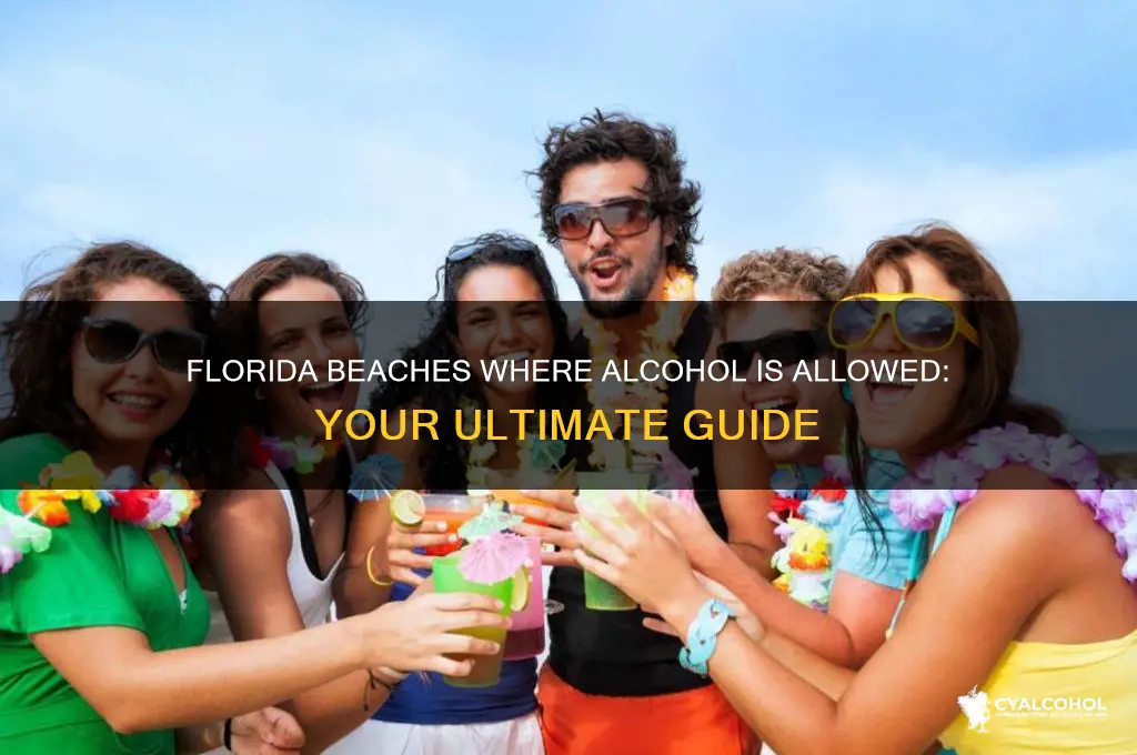 Florida Beaches Where Alcohol Is Allowed: Your Ultimate Guide | CyAlcohol