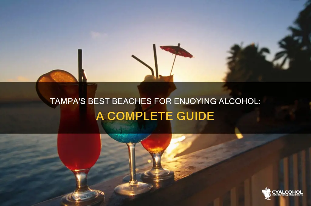 Tampa's Best Beaches For Enjoying Alcohol: A Complete Guide | CyAlcohol