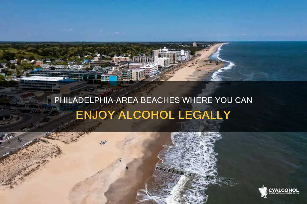 Philadelphia-Area Beaches Where You Can Enjoy Alcohol Legally | CyAlcohol