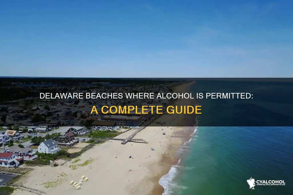 Delaware Beaches Where Alcohol Is Permitted: A Complete Guide | CyAlcohol