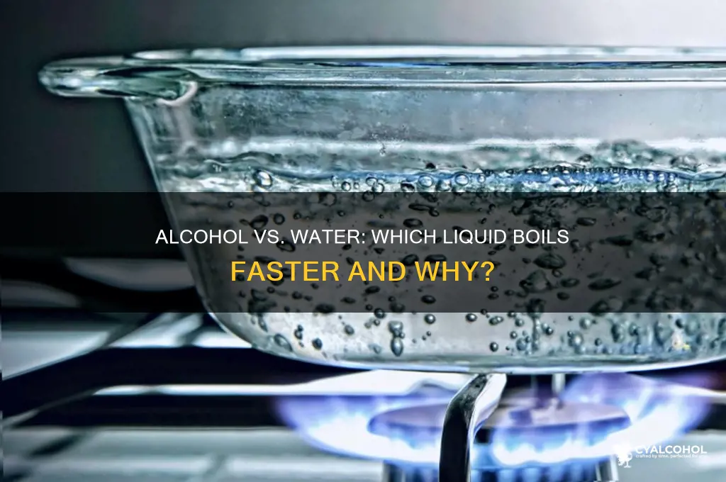 Alcohol Vs. Water: Which Liquid Boils Faster And Why? | CyAlcohol