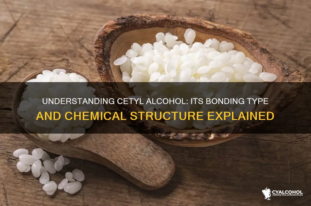 Understanding Cetyl Alcohol: Its Bonding Type And Chemical Structure ...