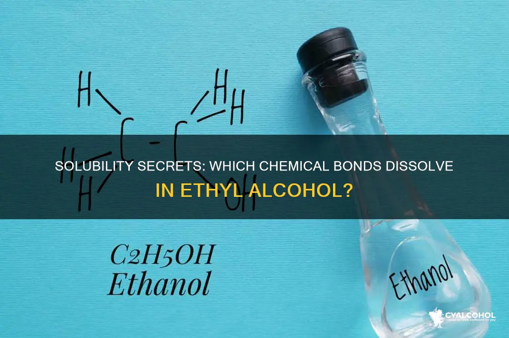 Solubility Secrets: Which Chemical Bonds Dissolve In Ethyl Alcohol ...