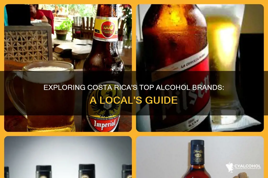 Exploring Costa Rica's Top Alcohol Brands: A Local's Guide | CyAlcohol