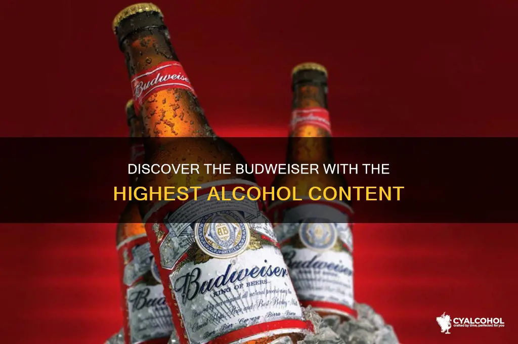 Discover The Budweiser With The Highest Alcohol Content | CyAlcohol