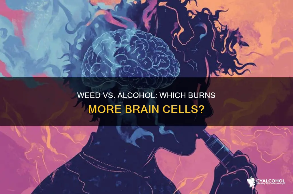 Weed Vs. Alcohol: Which Burns More Brain Cells? | CyAlcohol