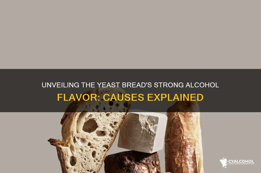 Unveiling The Yeast Bread's Strong Alcohol Flavor: Causes Explained ...