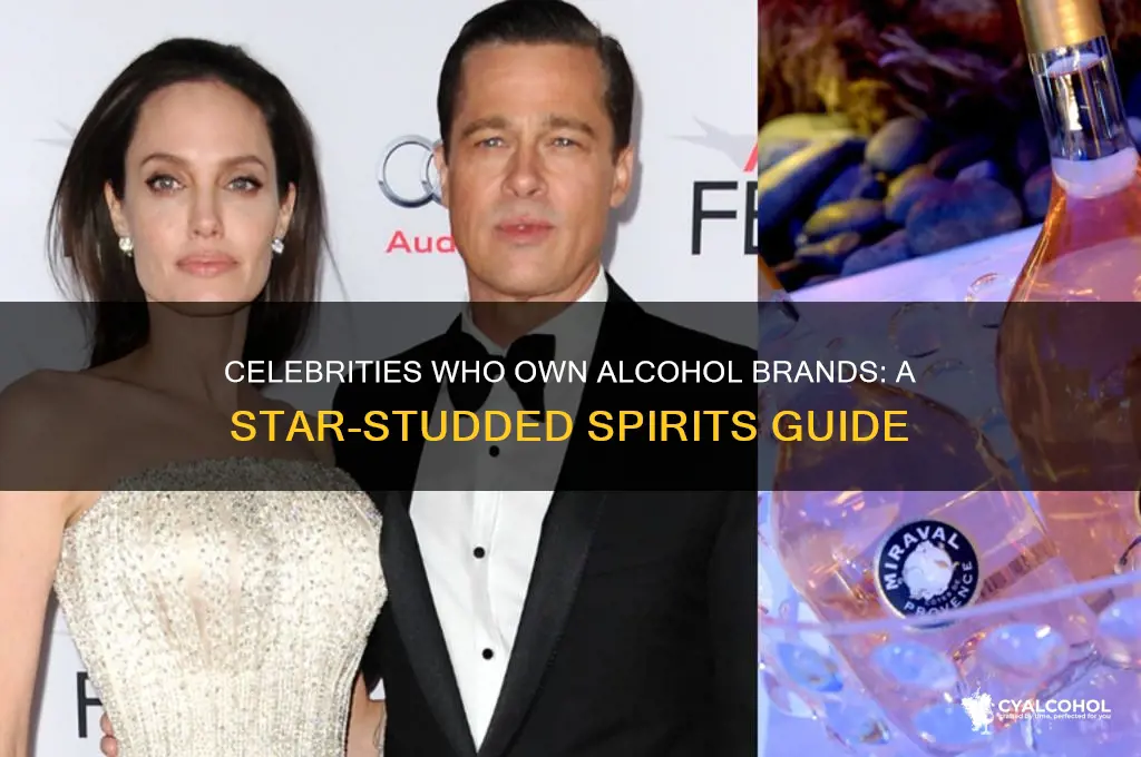 Celebrities Who Own Alcohol Brands: A Star-Studded Spirits Guide ...