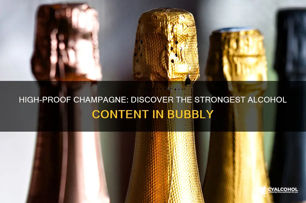 High-Proof Champagne: Discover The Strongest Alcohol Content In Bubbly ...