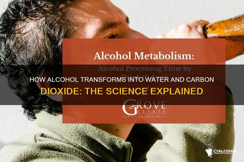 How Alcohol Transforms Into Water And Carbon Dioxide: The Science ...