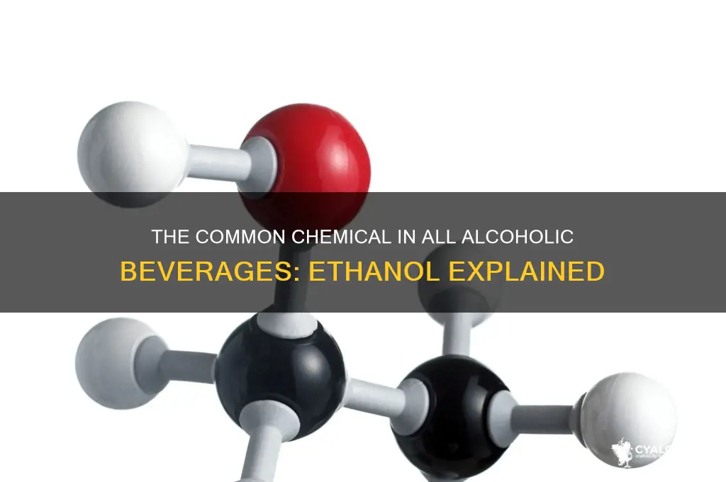 The Common Chemical In All Alcoholic Beverages: Ethanol Explained ...