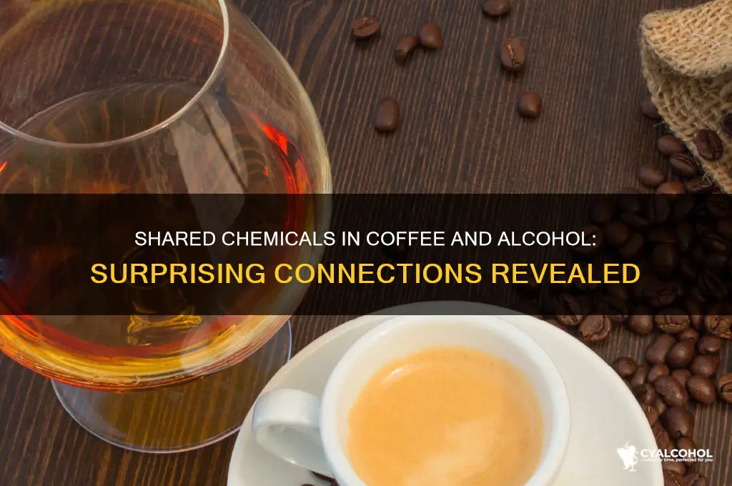 Shared Chemicals In Coffee And Alcohol: Surprising Connections Revealed ...