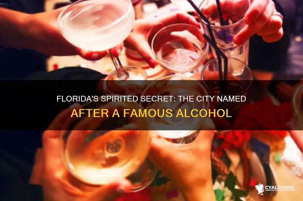 Florida's Spirited Secret: The City Named After A Famous Alcohol ...