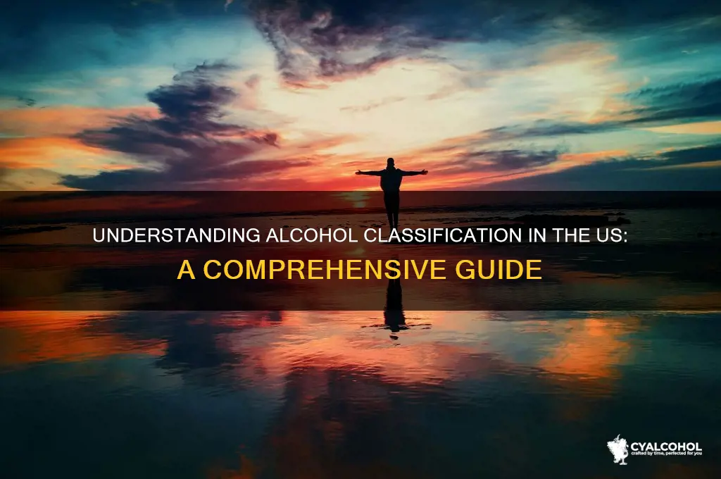 Understanding Alcohol Classification In The Us: A Comprehensive Guide ...