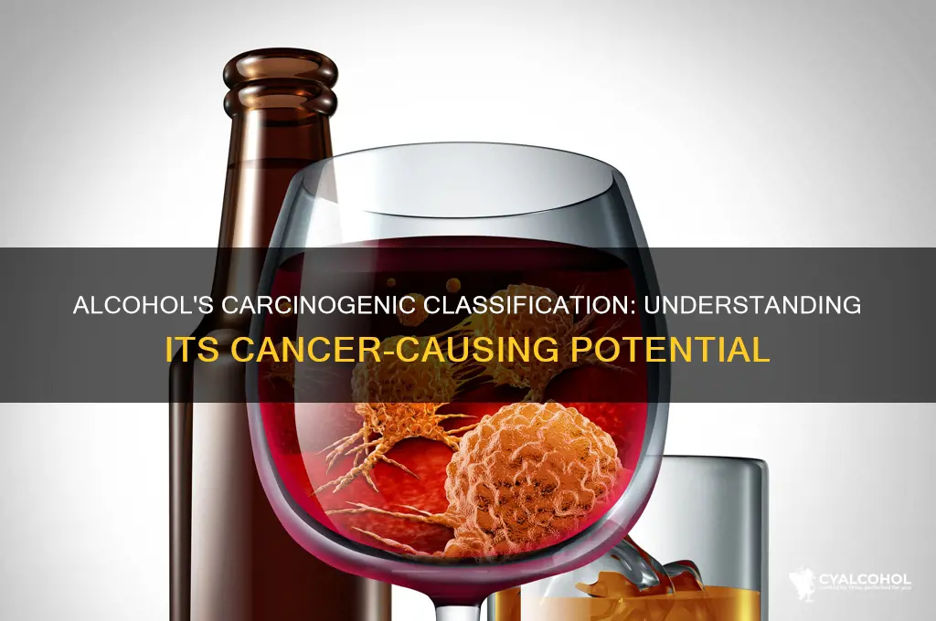 Alcohol's Carcinogenic Classification: Understanding Its Cancer-Causing ...