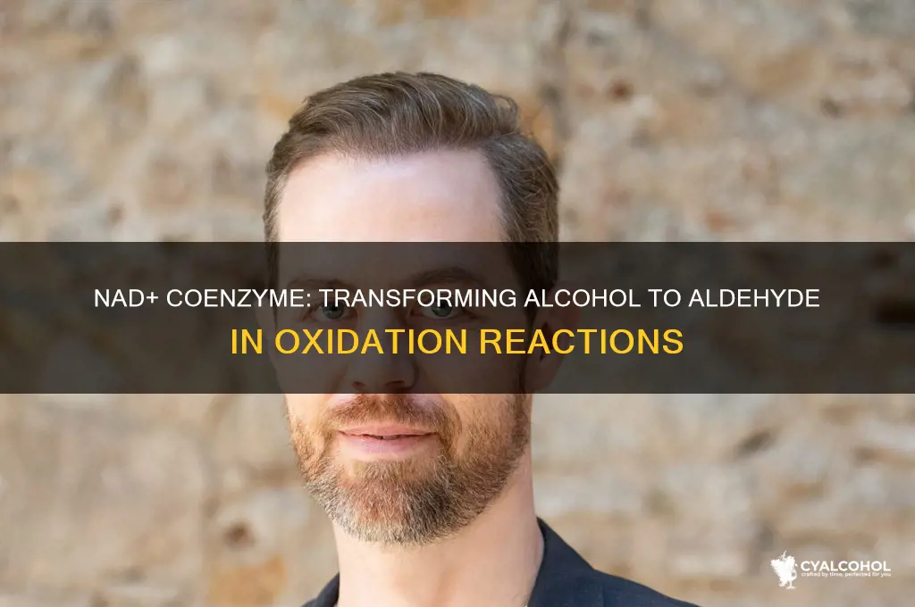 Nad+ Coenzyme: Transforming Alcohol To Aldehyde In Oxidation Reactions ...