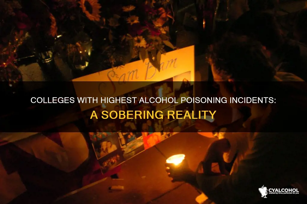 Colleges With Highest Alcohol Poisoning Incidents: A Sobering Reality ...