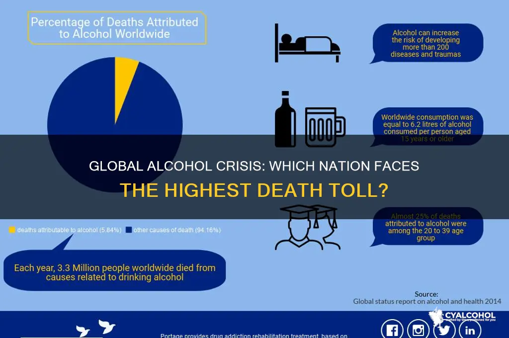 Global Alcohol Crisis: Which Nation Faces The Highest Death Toll ...