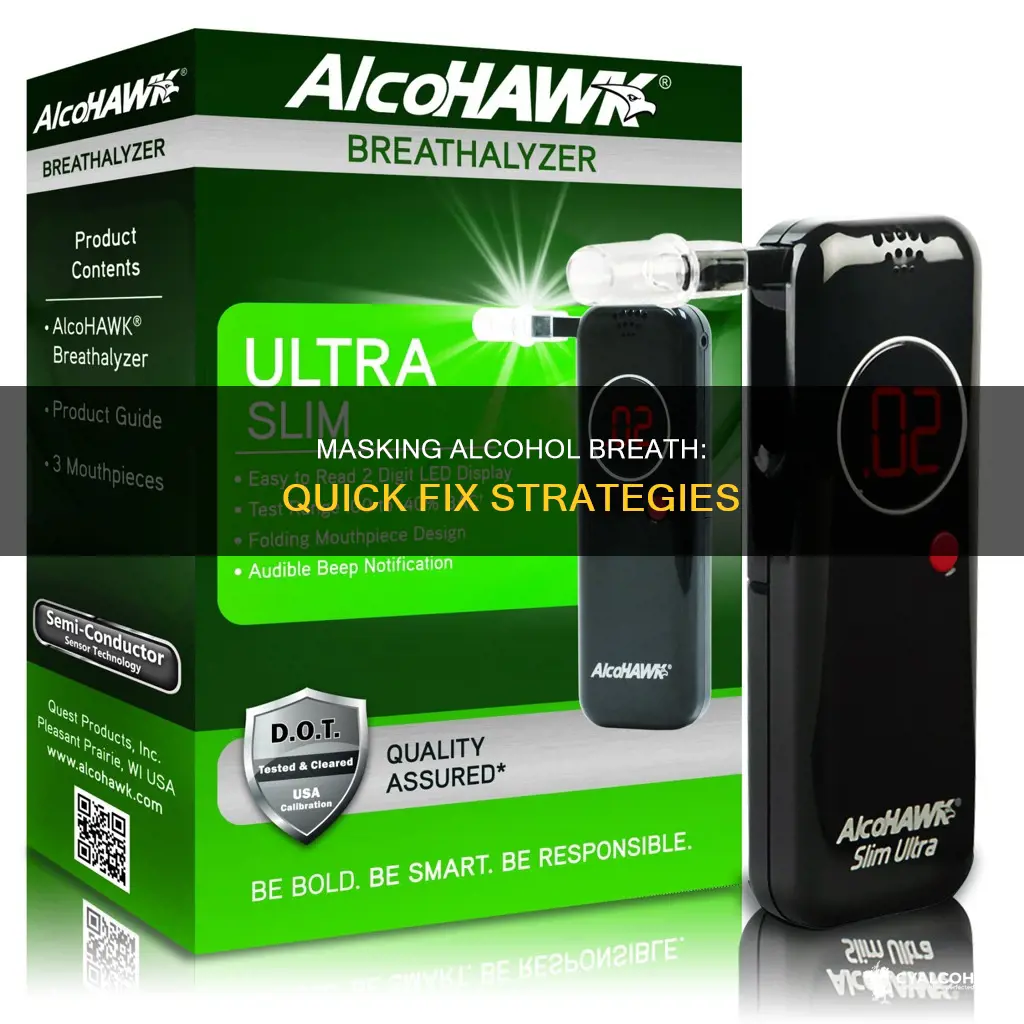 Masking Alcohol Breath: Quick Fix Strategies | CyAlcohol