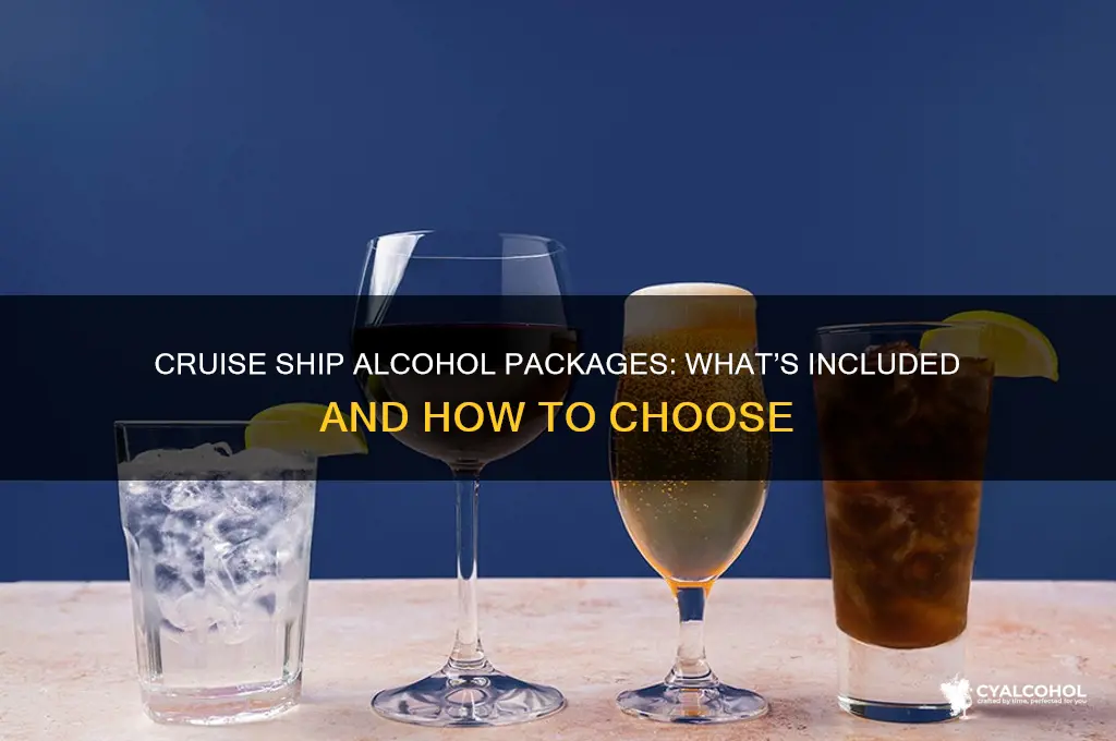 Cruise Ship Alcohol Packages: What’S Included And How To Choose | CyAlcohol