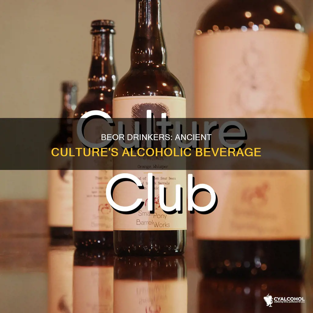 Beor Drinkers: Ancient Culture's Alcoholic Beverage | CyAlcohol
