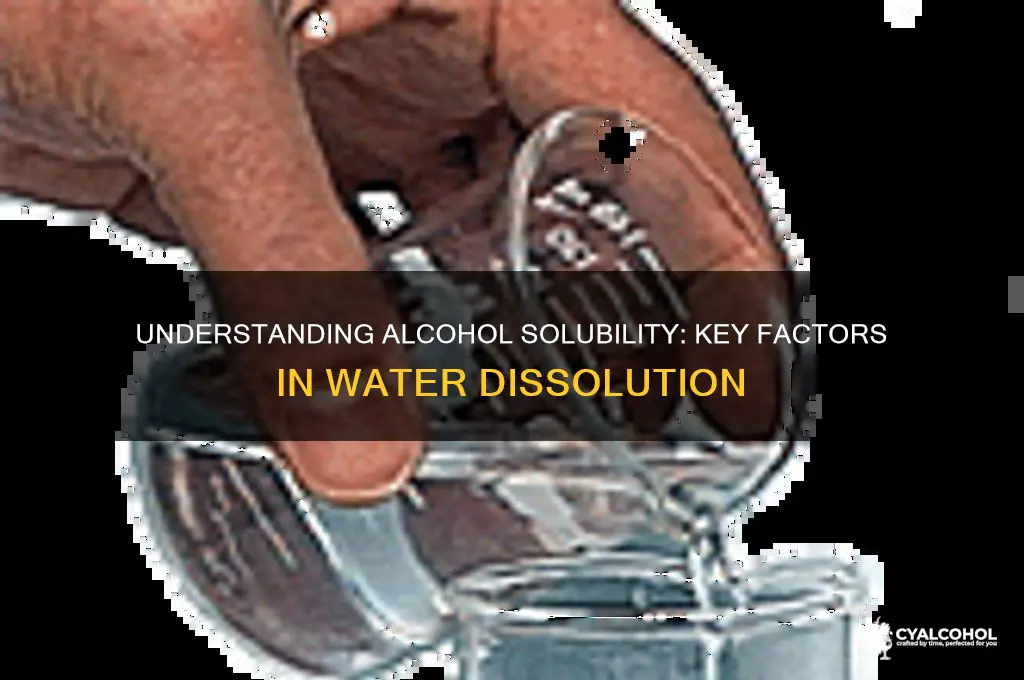 Understanding Alcohol Solubility: Key Factors In Water Dissolution ...