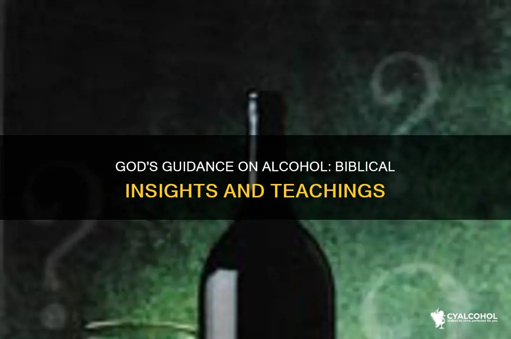 God's Guidance On Alcohol: Biblical Insights And Teachings | CyAlcohol
