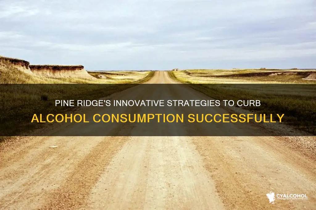 Pine Ridge's Innovative Strategies To Curb Alcohol Consumption ...