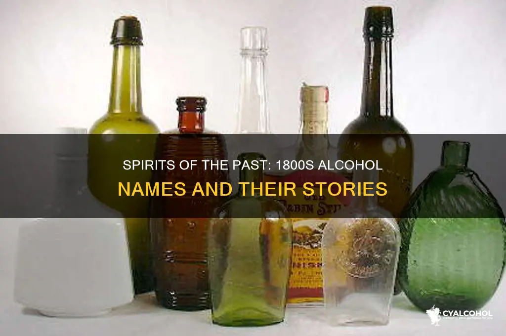 Spirits Of The Past: 1800S Alcohol Names And Their Stories | CyAlcohol