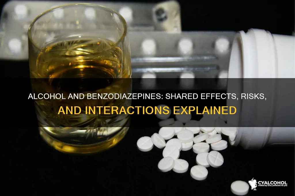 Alcohol And Benzodiazepines: Shared Effects, Risks, And Interactions ...