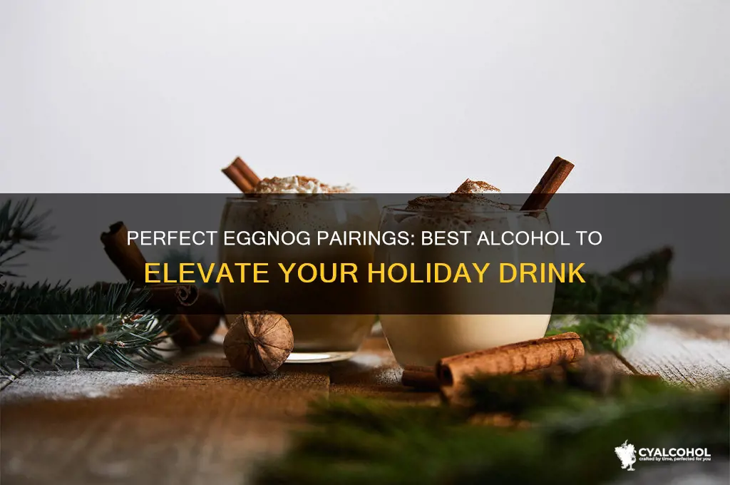 Perfect Eggnog Pairings: Best Alcohol To Elevate Your Holiday Drink ...