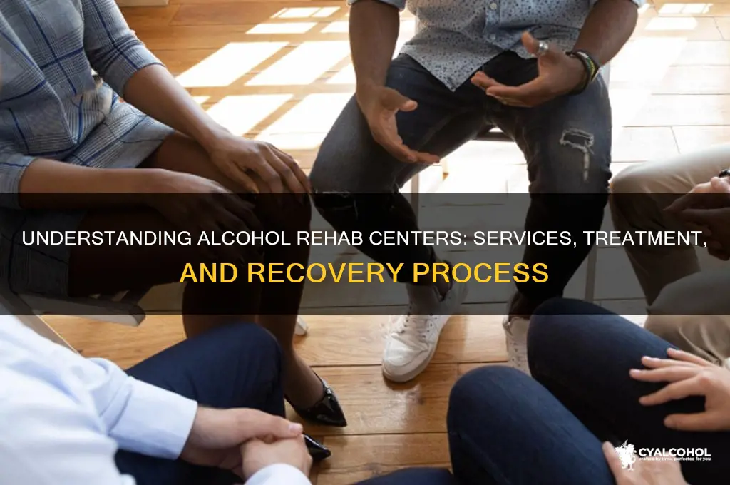 Understanding Alcohol Rehab Centers: Services, Treatment, And Recovery ...